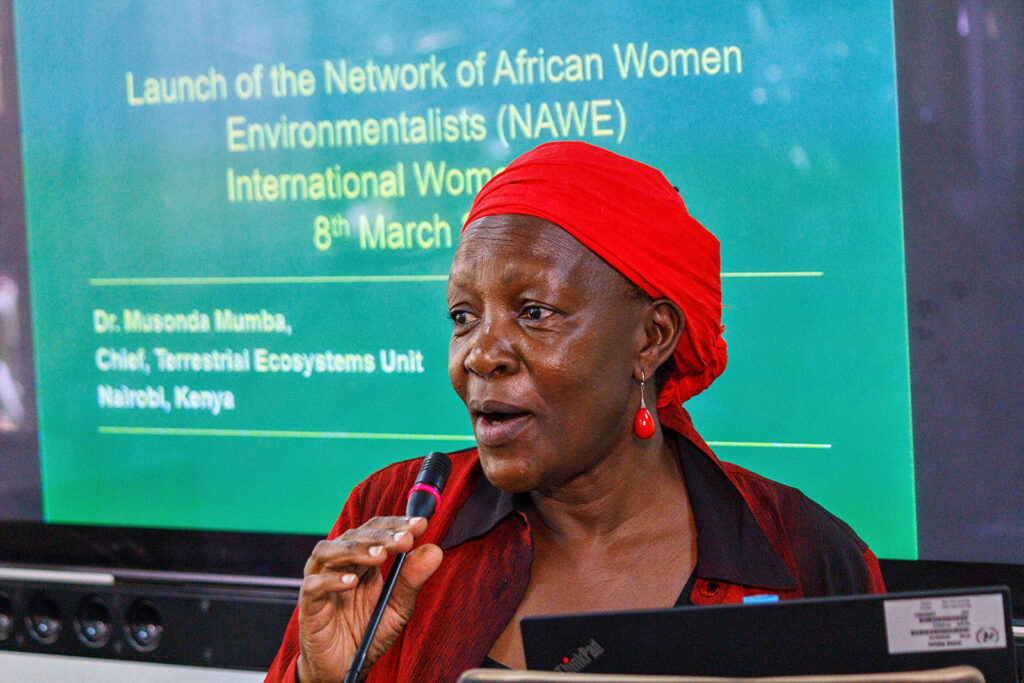 NAWE Launch – Network of African Women Environmentalists